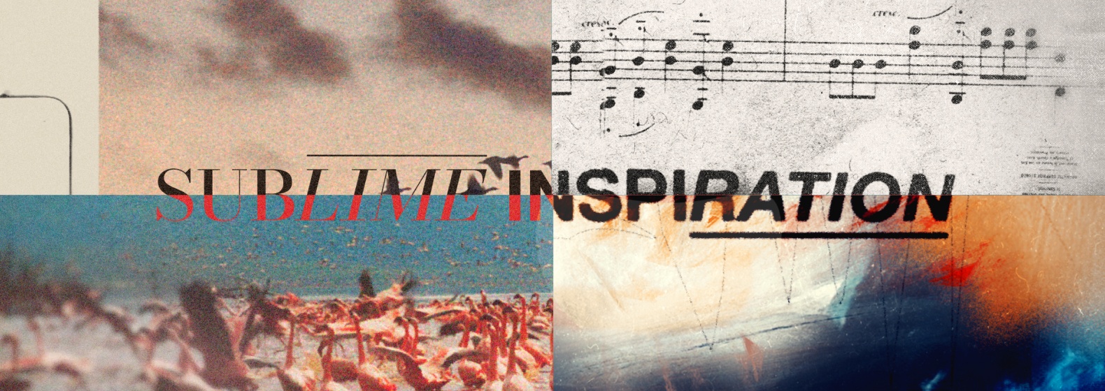 « SUBLIME INSPIRATION », LE NOUVEAU PROGRAMME COURT DE TF1 PARRAINÉ PAR ...