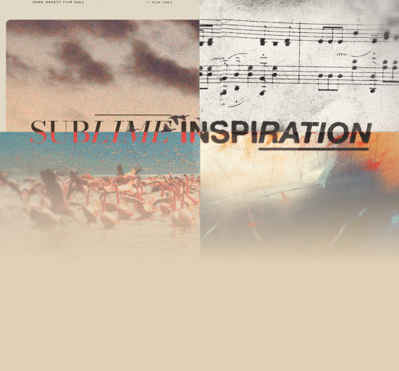 « SUBLIME INSPIRATION », LE NOUVEAU PROGRAMME COURT DE TF1 PARRAINÉ PAR ...